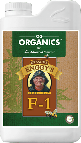OG Organics Grandma Enggy's Golden Honey F-1 32oz - Walmart.com