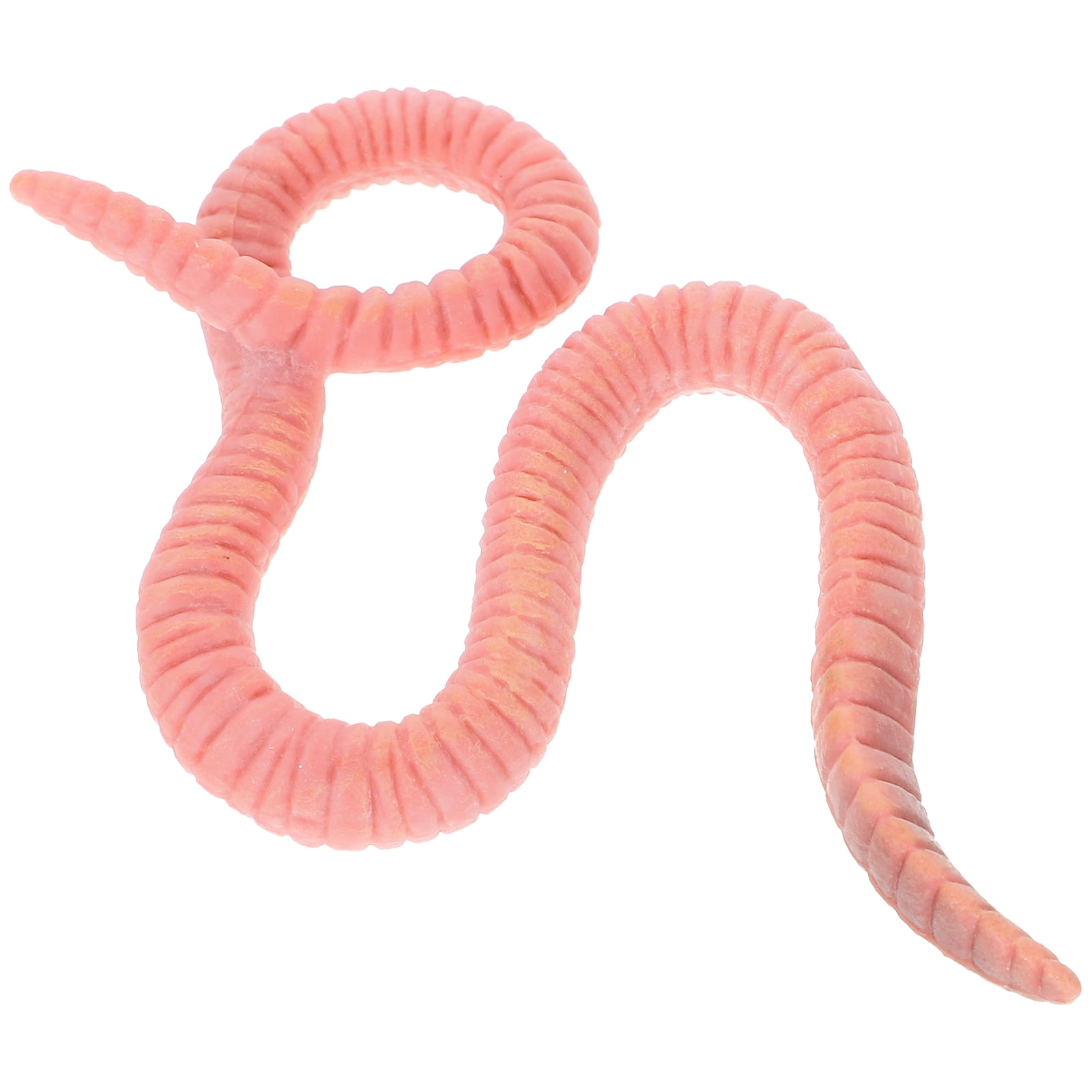 OGITUDE Simulation Insect Model Simulated Earthworm Model Artificial ...