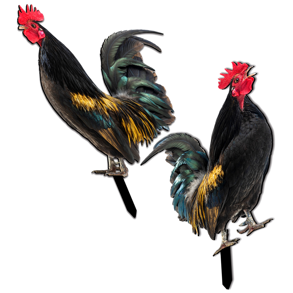 OHOIOLLA Garden Chicken Ground Plug 2Pcs Acrylic Rooster Stake Assorted ...