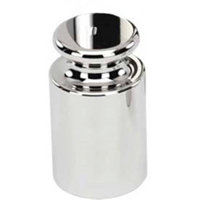 OIML Class F1 Calibration Weight Stainless Steel - 100g - Walmart.com
