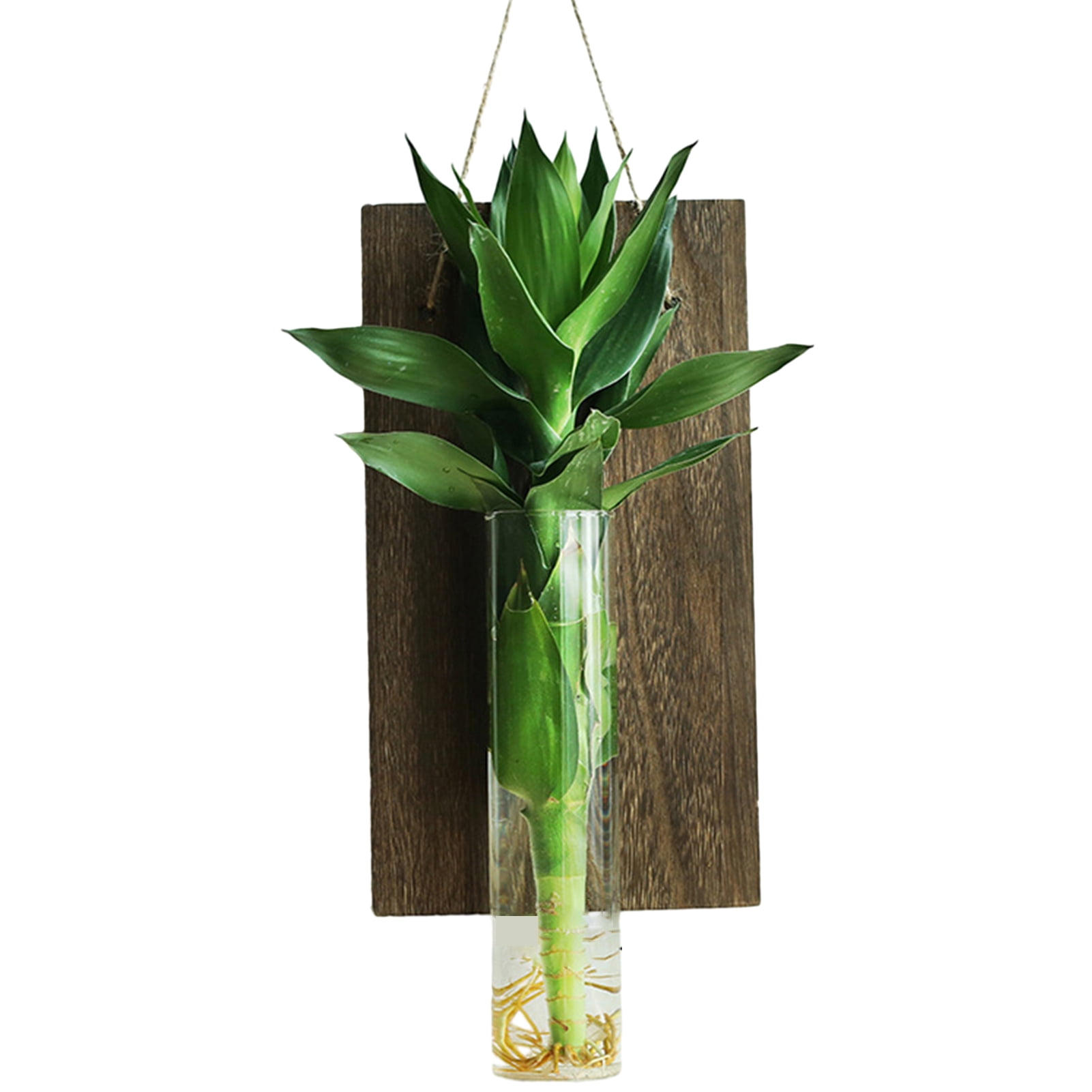 OIUR Glass Wall Planter Hanging Vase with Wooden Board Oblate Flower ...