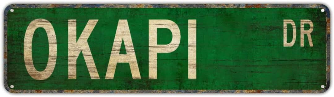 OKAPI DR Vintage Signs Retro Tin Signs Art Plaque Aluminum Sign for ...