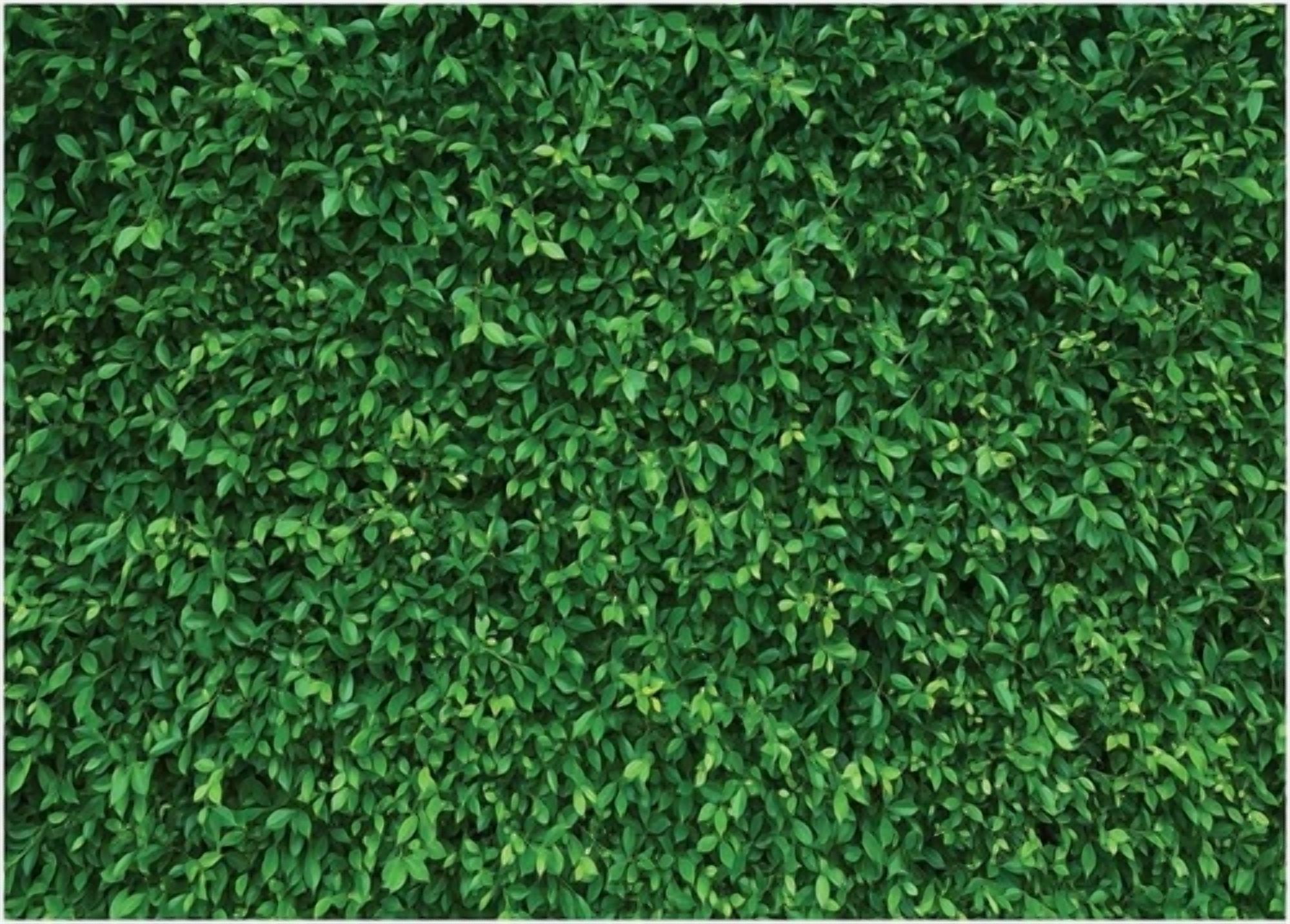 OLIVE- 7X5Ft Green Leaves Photography Backdrops Nature Backdrop ...
