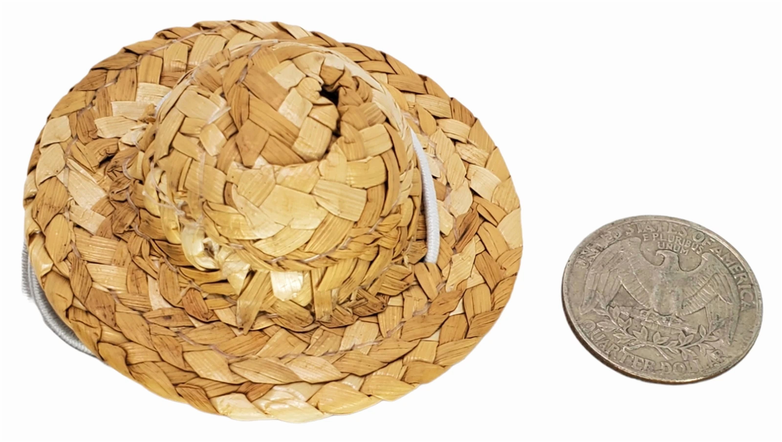 OLIVE- New Nhx Scale Straw Hat Scale Accessories Free Us Ship - Walmart.com