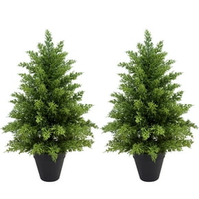 2 Foot Christmas Trees