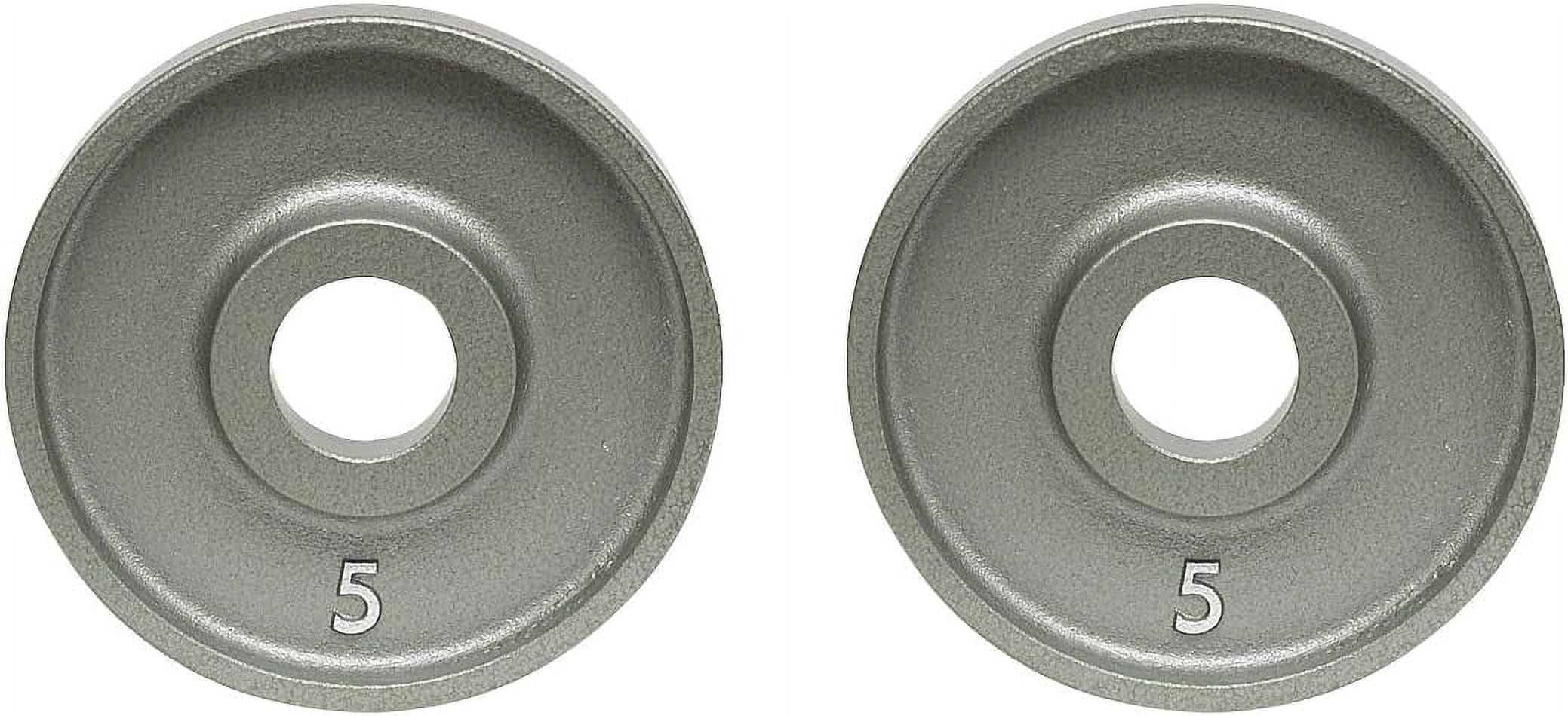 (OM-5) Cast-Iron, Machined Olympic Plate Grey 5 lbs (PAIR) - Walmart.com