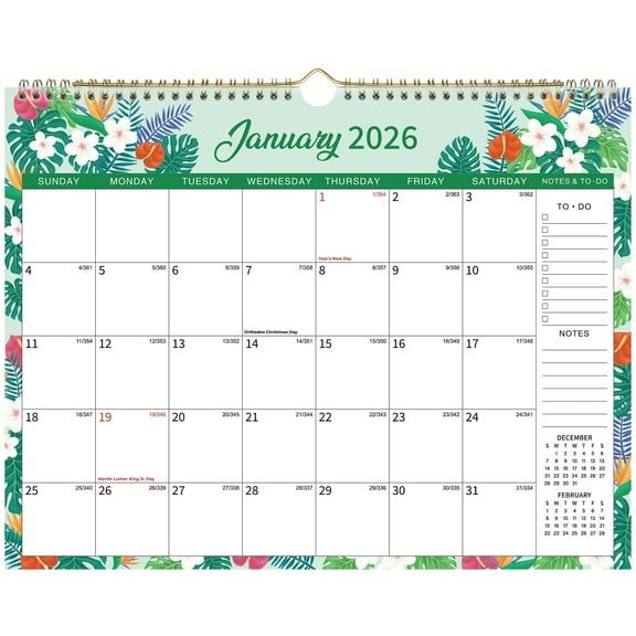 EclipseJewels 2026 Wall Calendar 12 Month (Jan to Dec 2026) - Large ...
