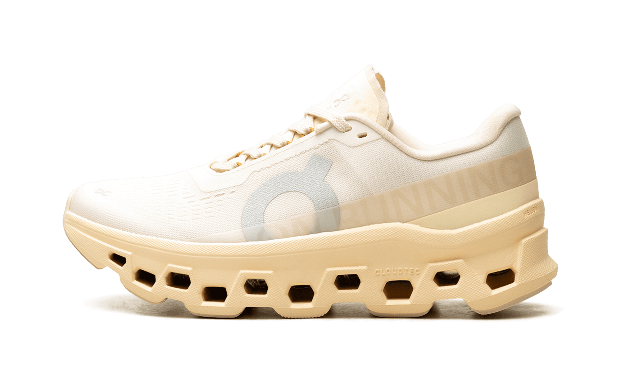 ON RUNNING WOMENS Cloudmonster 1 Womens "Goby Lily" 3WF30484910 ...