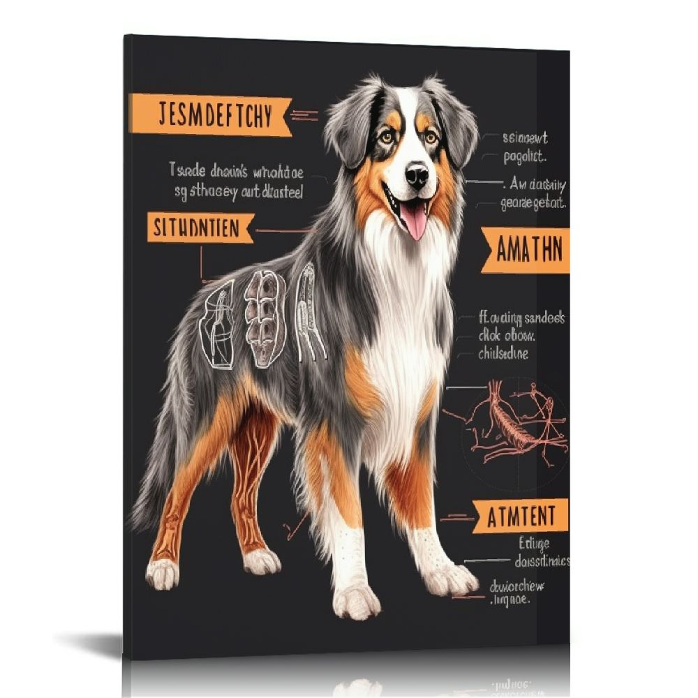 ONETECH Anatomy of a Australian Shepherd Canvas Painting - Educational ...
