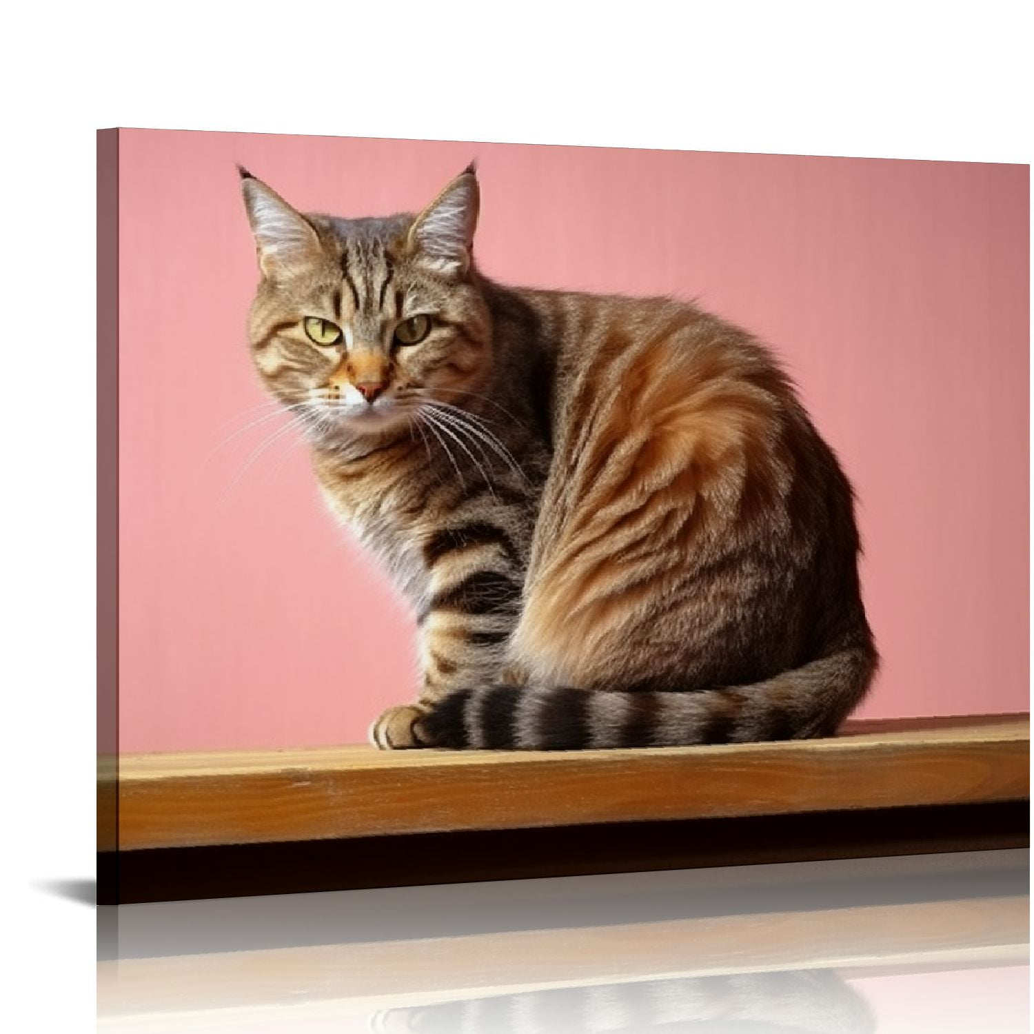 ONETECH Cat Canvas prints Wall Art Photography Poster Printing Living ...