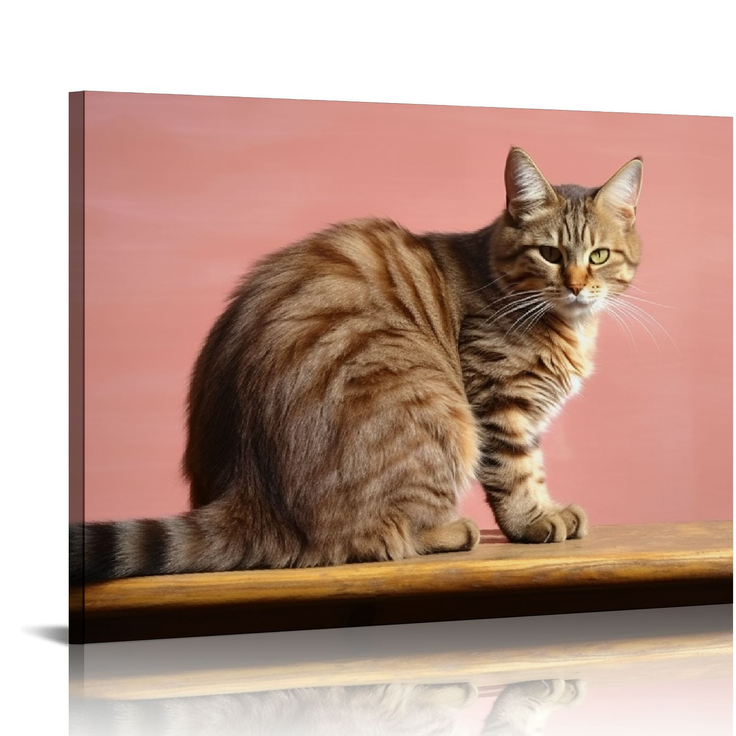 ONETECH Cat Canvas prints Wall Art Photography Poster Printing Living ...