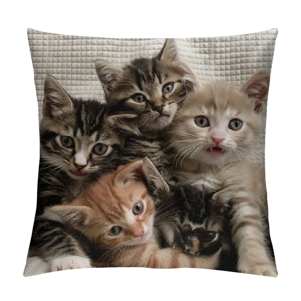 ONETECH Cute Cats Decorative Throw Pillow Cover Case, Kittens Family ...