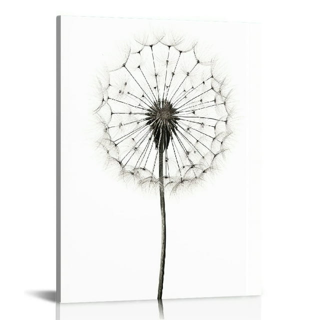 ONETECH Dandelion Canvas Wall Art,Dandelion Prints,Black And White ...