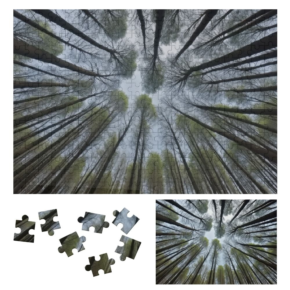 ONETECH Fractals Wooden Jigsaw Puzzle Challenging Difficult Wood ...