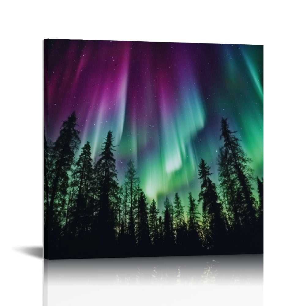 ONETECH Northern Lights Bathroom Decor Canvas Wall Art Painting,Purple ...