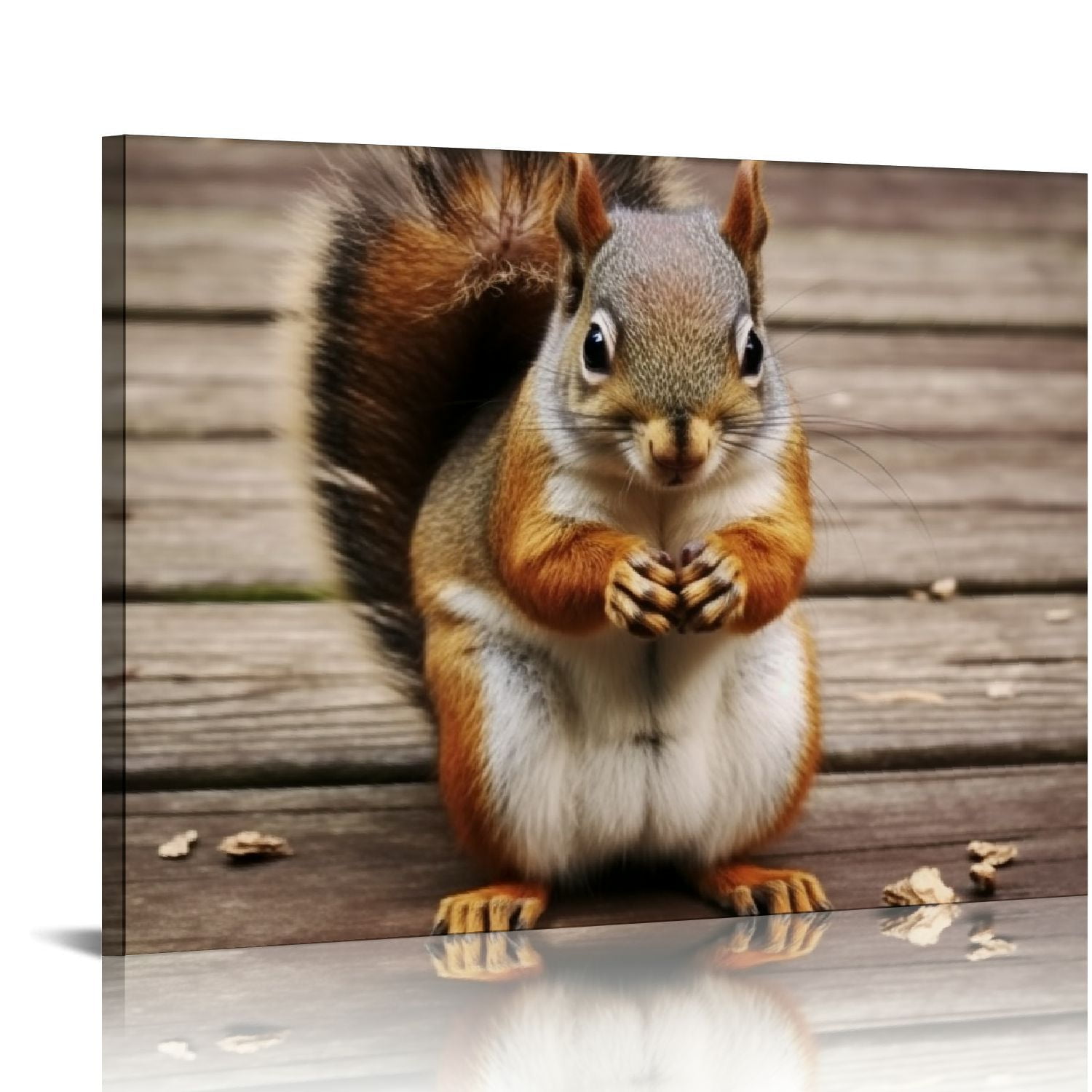 ONETECH Time for a Snack Cute Squirrel Eating a Nut Acorn Nature Wild ...