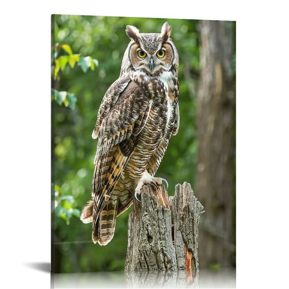ONETECH Wild Animals Owl Poster Funny Wall Art Decor Poster Canvas ...