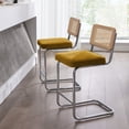 ONEVOG 25.6”Counter Height Rattan Bar Stools Set of 2, Velvet ...