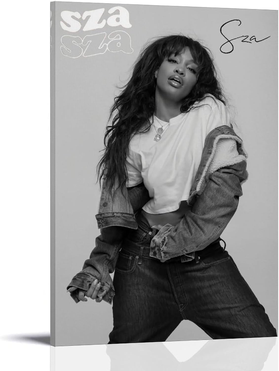 OOzie Sza Posters Album Cover Art Poster Album Art Decor Painting Wall ...