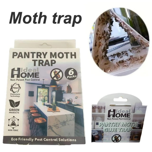 OPDBN 6pcs Per Pack Of Moth Traps To Kill Moths, Rice Moths, Moth Flies ...
