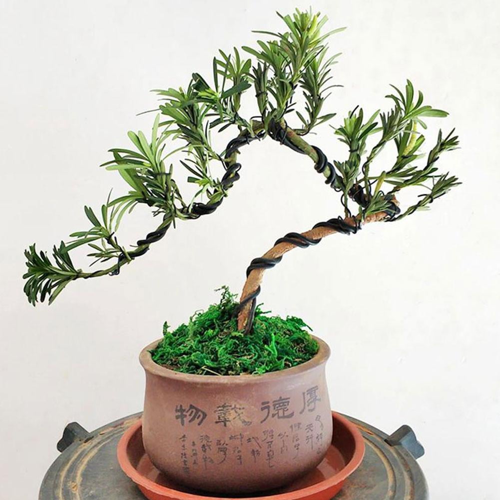 OPDBN Black Bonsai Wires Anodized Aluminum Bonsai Training Wire Total ...