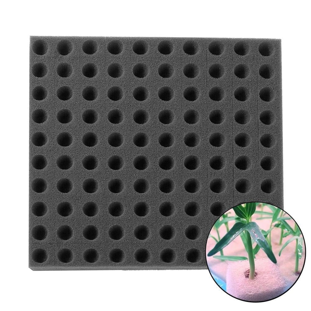OPDBN Black Dirt-Resistant Seedling Sponge Hydroponic Planting Sponge ...