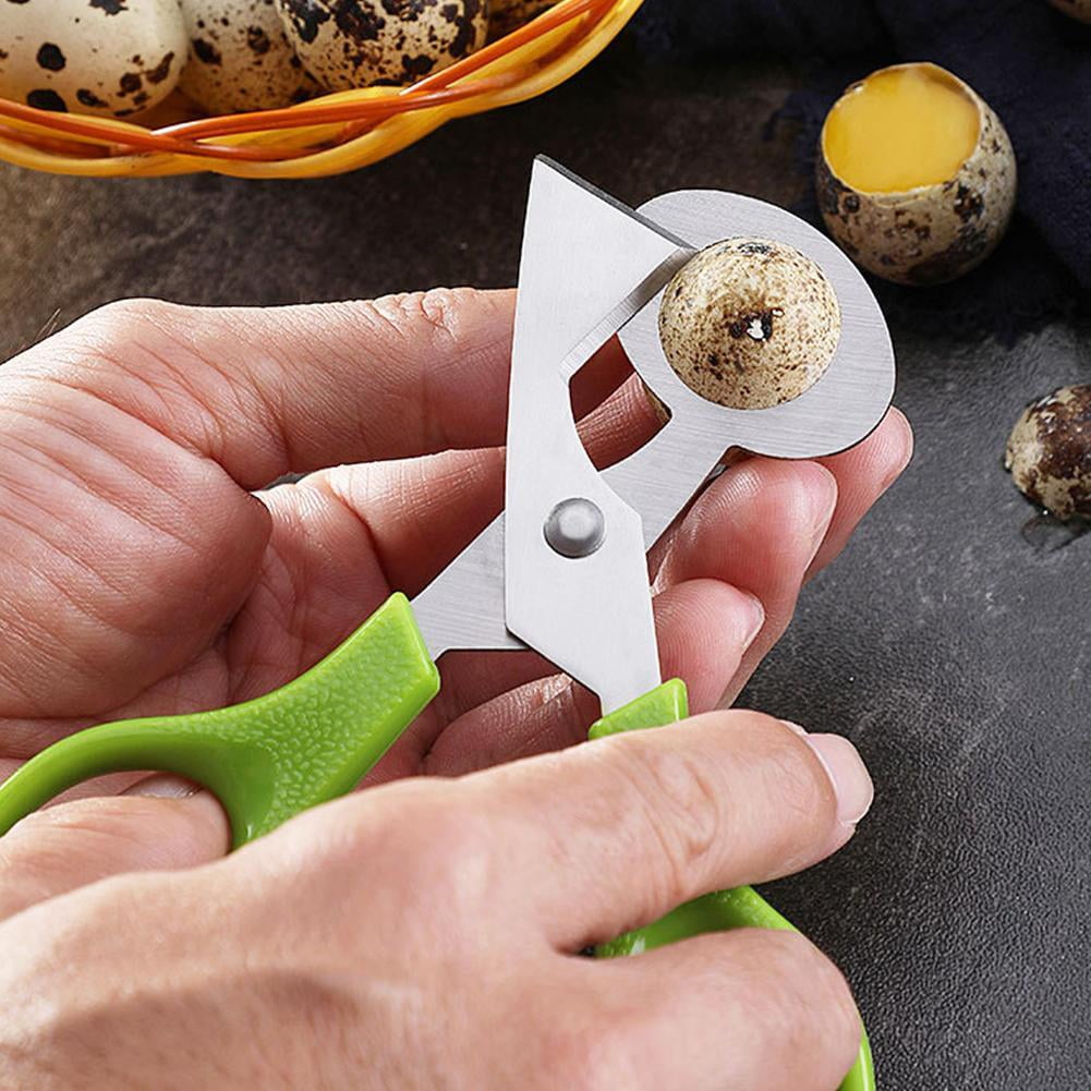 OPDBN Green Stainless Steel Egg Cutter Quail Egg Scissors Bird Egg ...