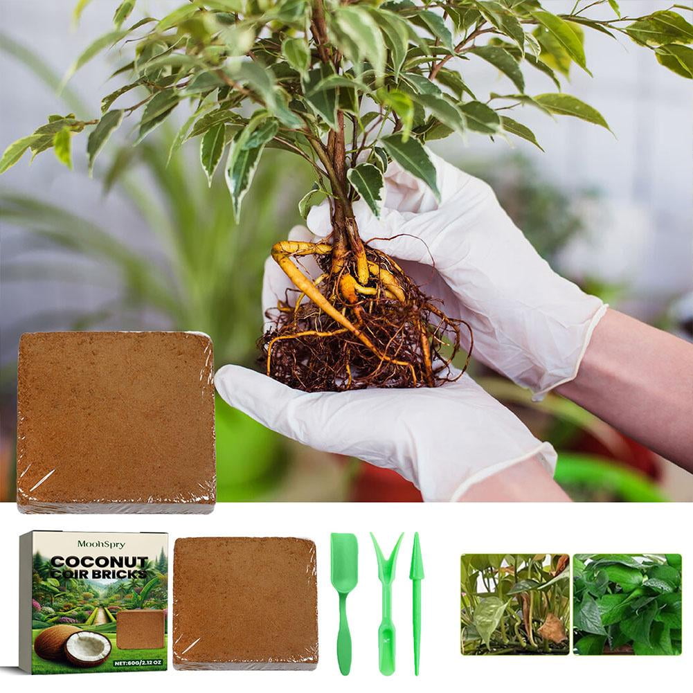 OPDBN Plant Coconut Fiber Brick Potted Coconut Fiber Brick Reptile ...