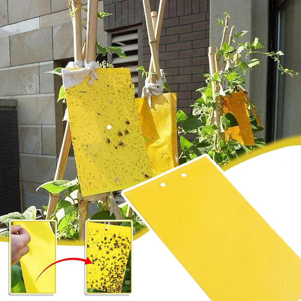 OPDBN Strong Fly Trap Insect Sticky Board Double-Sided Sticky Insect ...