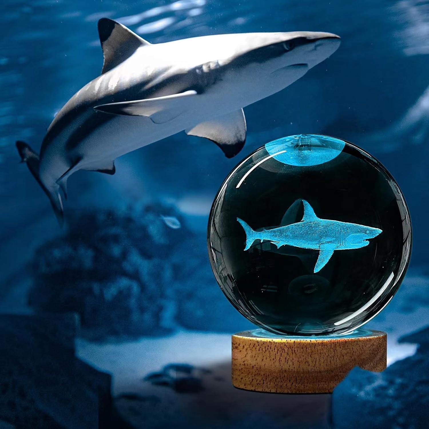 OPVM-3D Shark Crystal Ball Night Light with Remote Upgraded 3.15 in ...