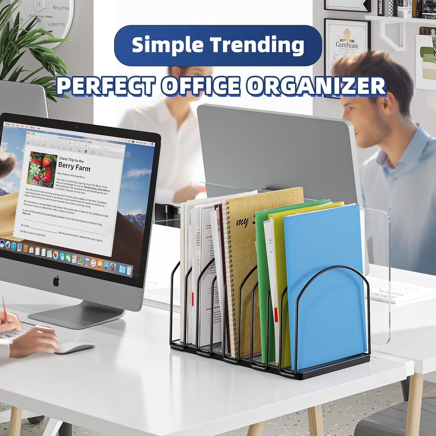 OPVM-9 Section Metal File Sorter Organizer for Desk, Vertical File ...