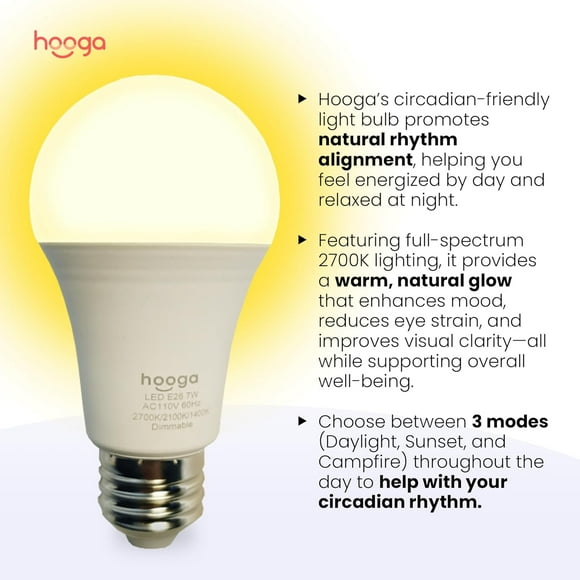 Full Spectrum Light Bulbs