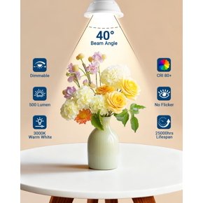 2 Prong Light Bulb