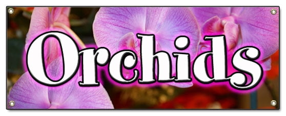 ORCHIDS flower BANNER SIGN orchid bulb decorative - Walmart.com