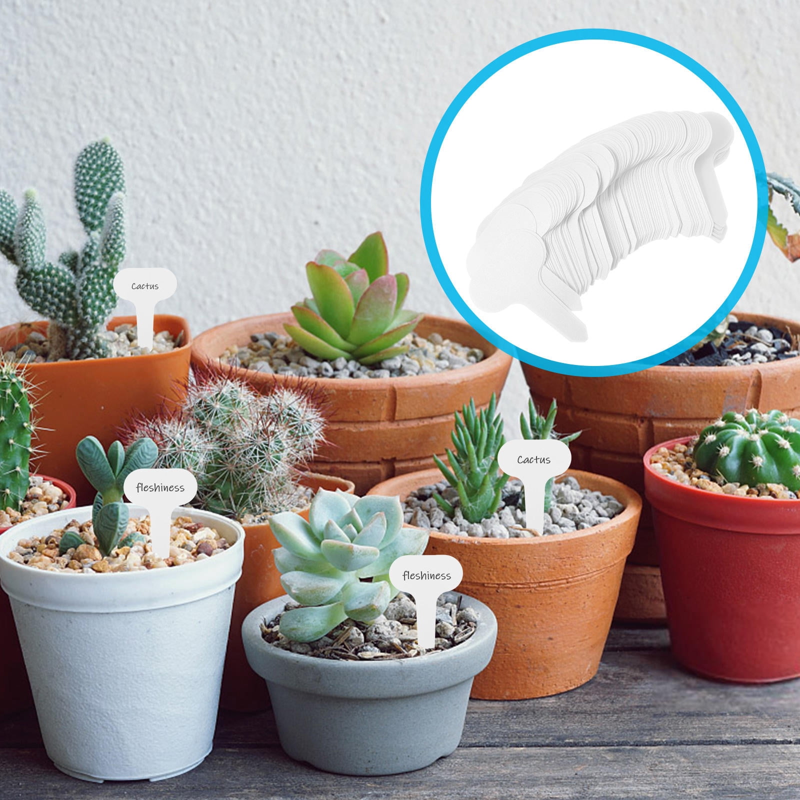 ORDDIART 100Pcs Garden Pot Labels for in White Plastic - Walmart.com