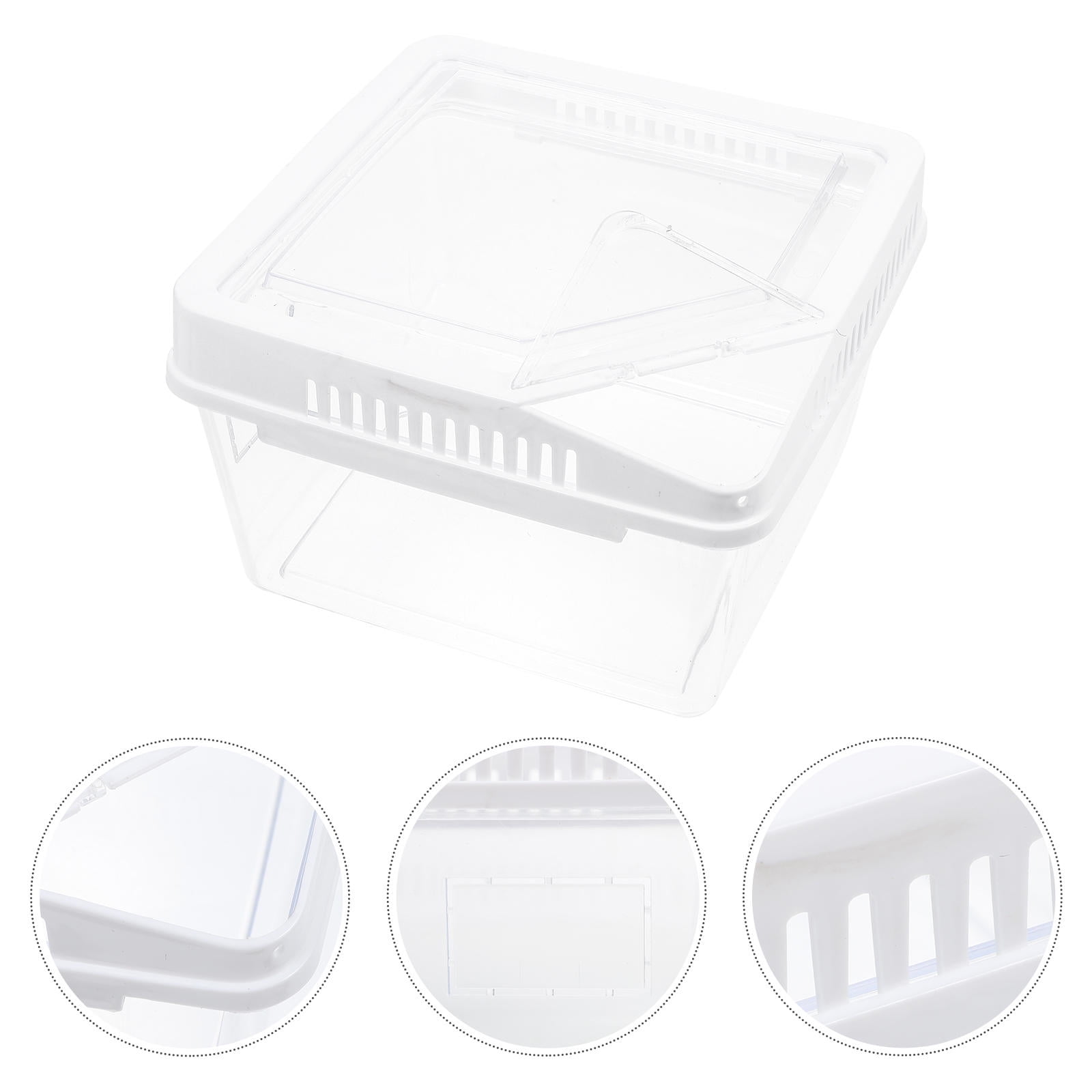 ORDDIART 1Pack Reptile Transport Box Transparent White Color Perfect ...