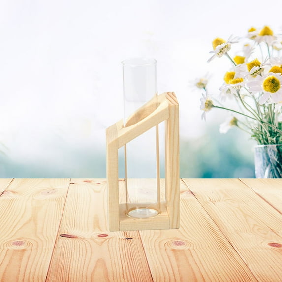 ORDDIART 1Pcs Clear Glass Test Tube Flower Vase for Creative Test Tube ...