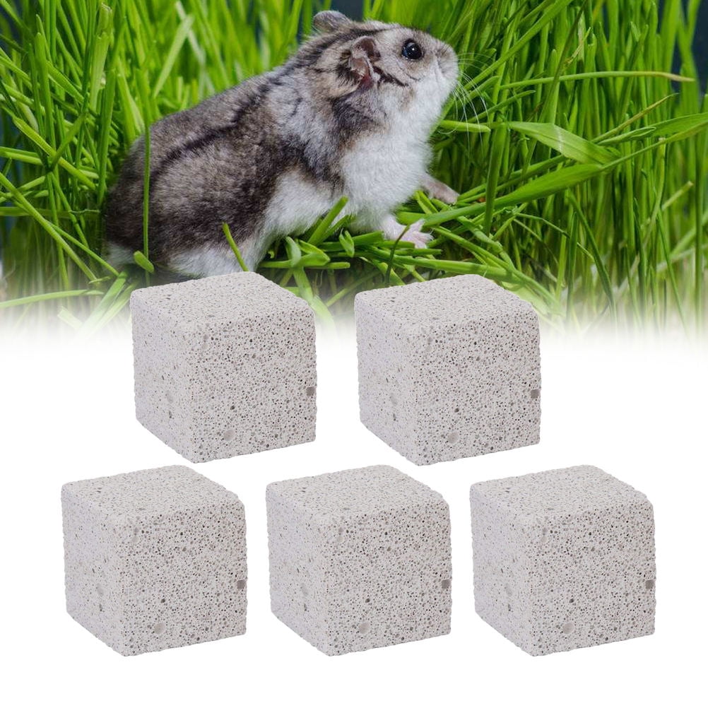 ORDDIART 6Set 1.97x1.97x1.97in Square Stone for Hamster Mineral Chews ...