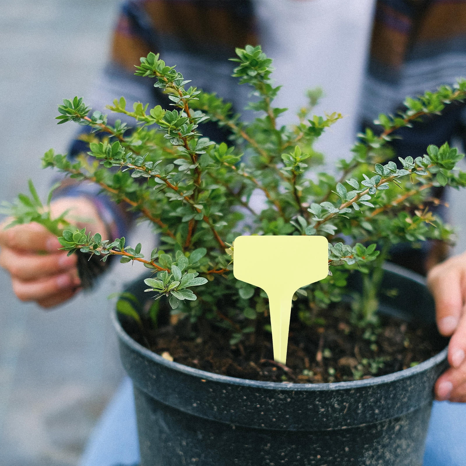 ORDDIART Gardeners 100Pcs T Shaped Yellow PP Plant Tags Waterproof ...