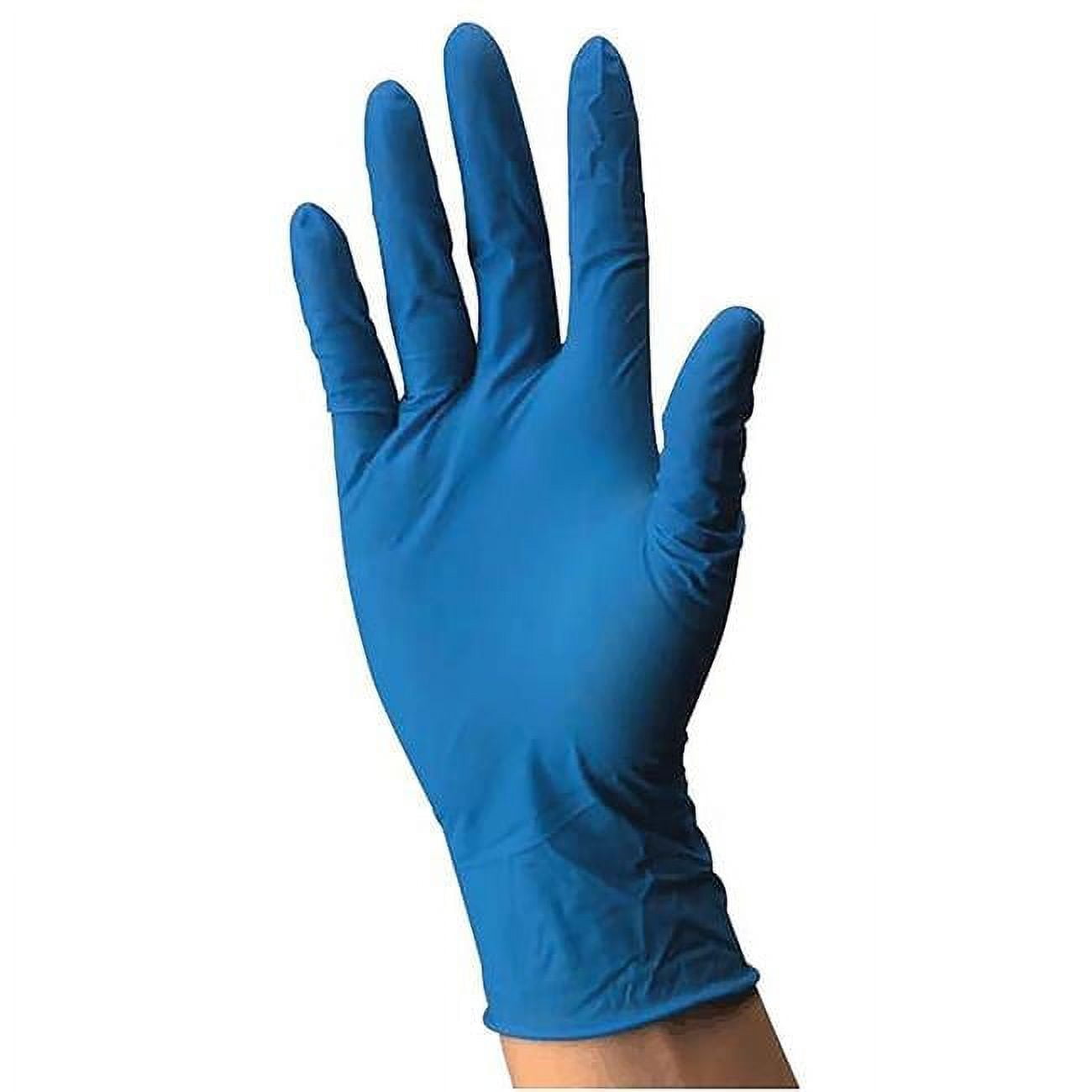 ORE International ORE-GLOVE-XL Powder Free Nitrile Examination Gloves ...