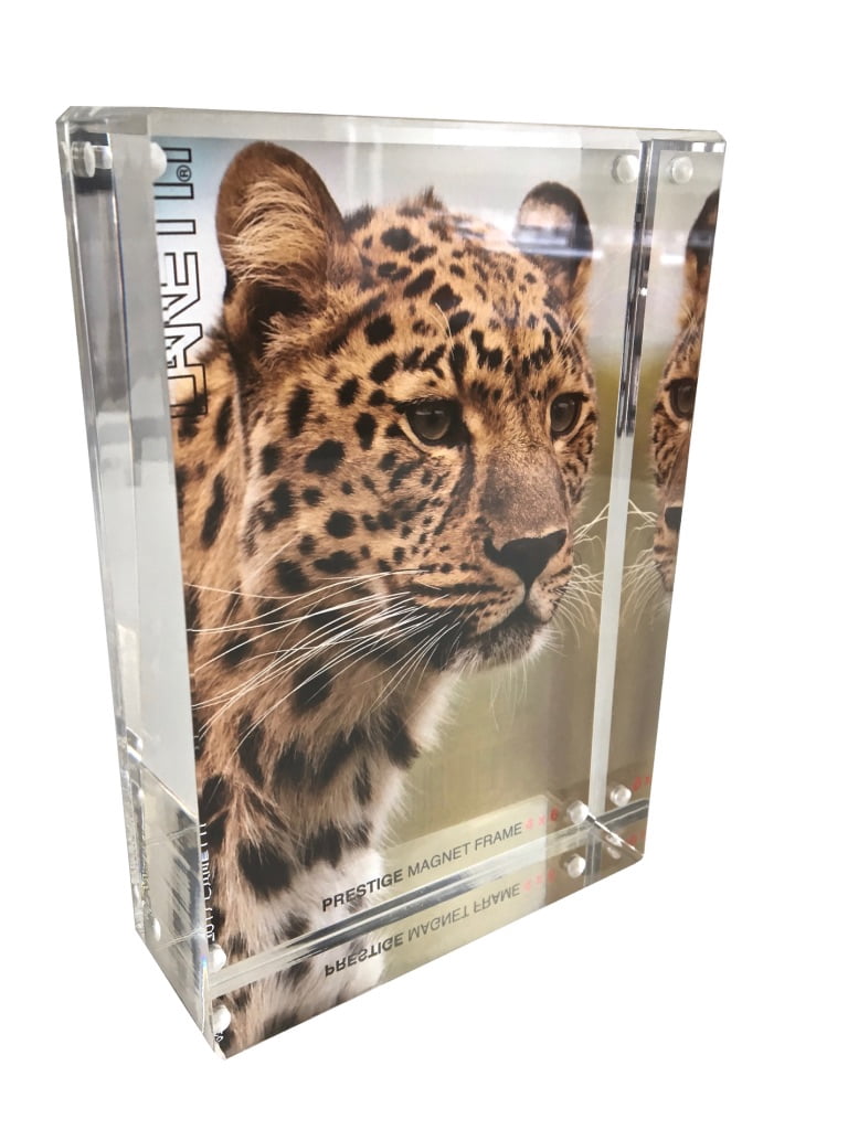 The PRESTIGE CLEAR Gold 2x4 MAGNET FRAME by Canetti - 2x4 - Walmart.com