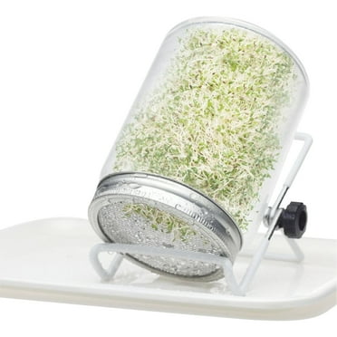 Sprout Master Mini Sprouter - Small Sprouting Tray - Grow Sprouts ...