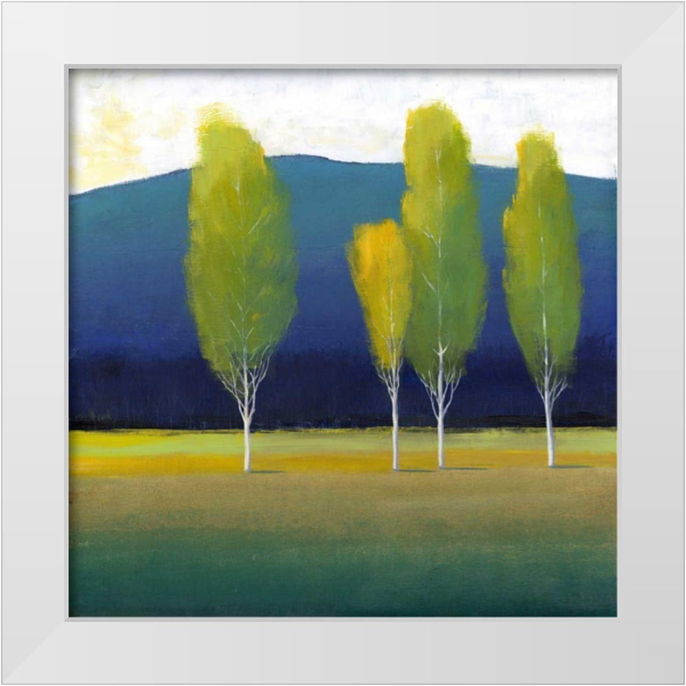 OToole, Tim 12x12 White Modern Wood Framed Museum Art Print Titled ...