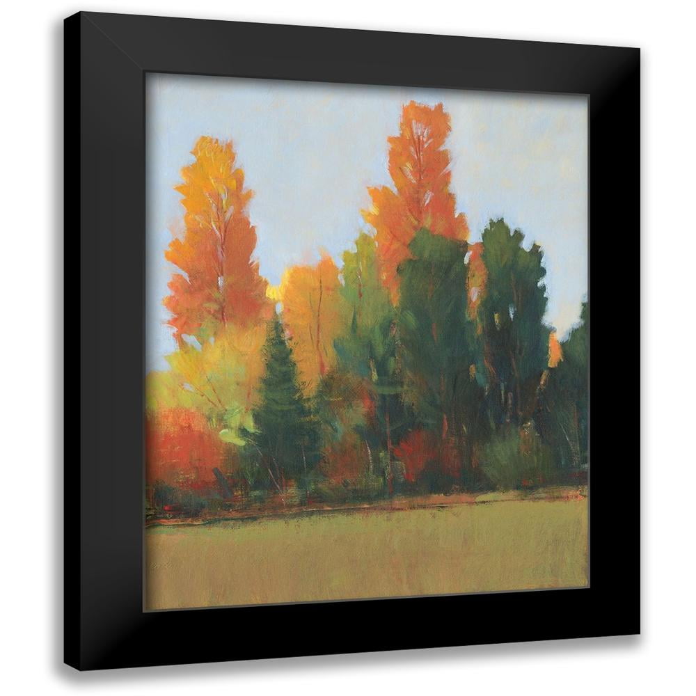 OToole, Tim 12x14 Black Modern Framed Museum Art Print Titled - Fall ...