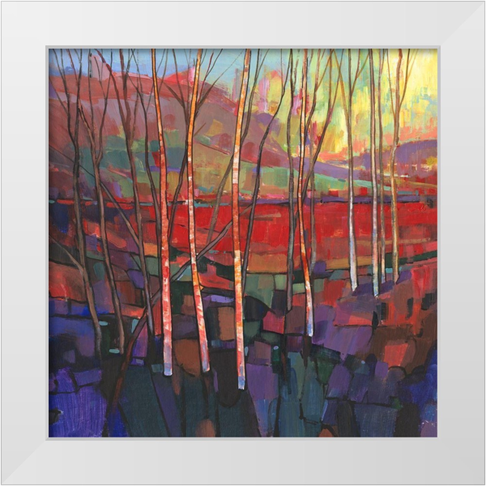 OToole, Tim 15x15 White Modern Wood Framed Museum Art Print Titled - Patchwork Trees II ...