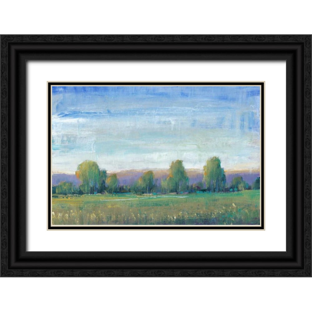 OToole, Tim 18x13 Black Ornate Wood Framed with Double Matting Museum ...