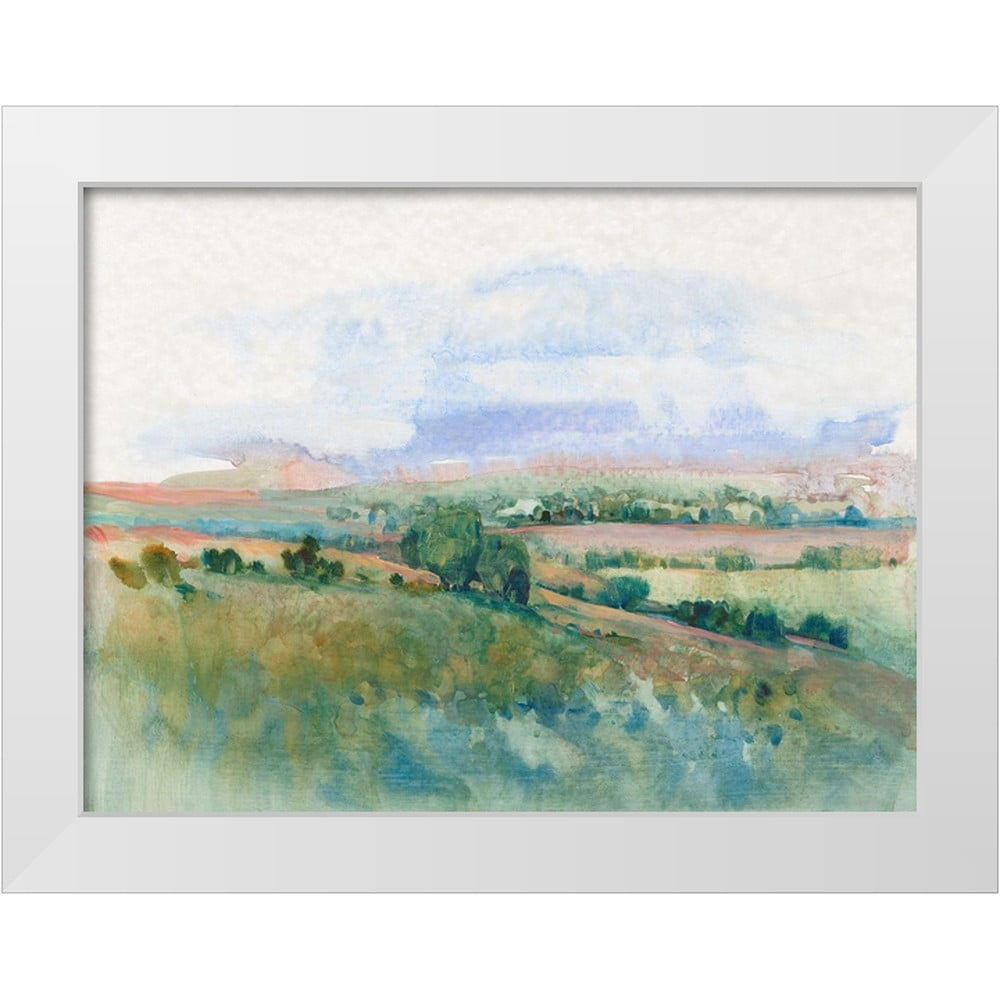 OToole, Tim 18x15 White Modern Wood Framed Museum Art Print Titled - Hilltop Vista II - Walmart.com