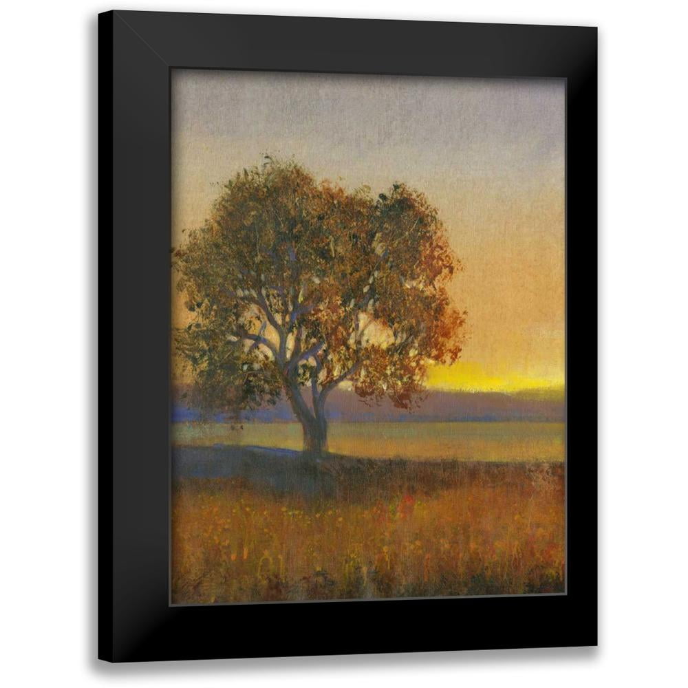 OToole, Tim 19x24 Black Modern Framed Museum Art Print Titled ...