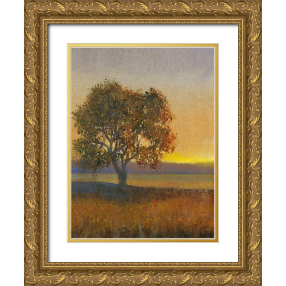 OToole, Tim 19x24 Gold Ornate Wood Framed with Double Matting Museum ...