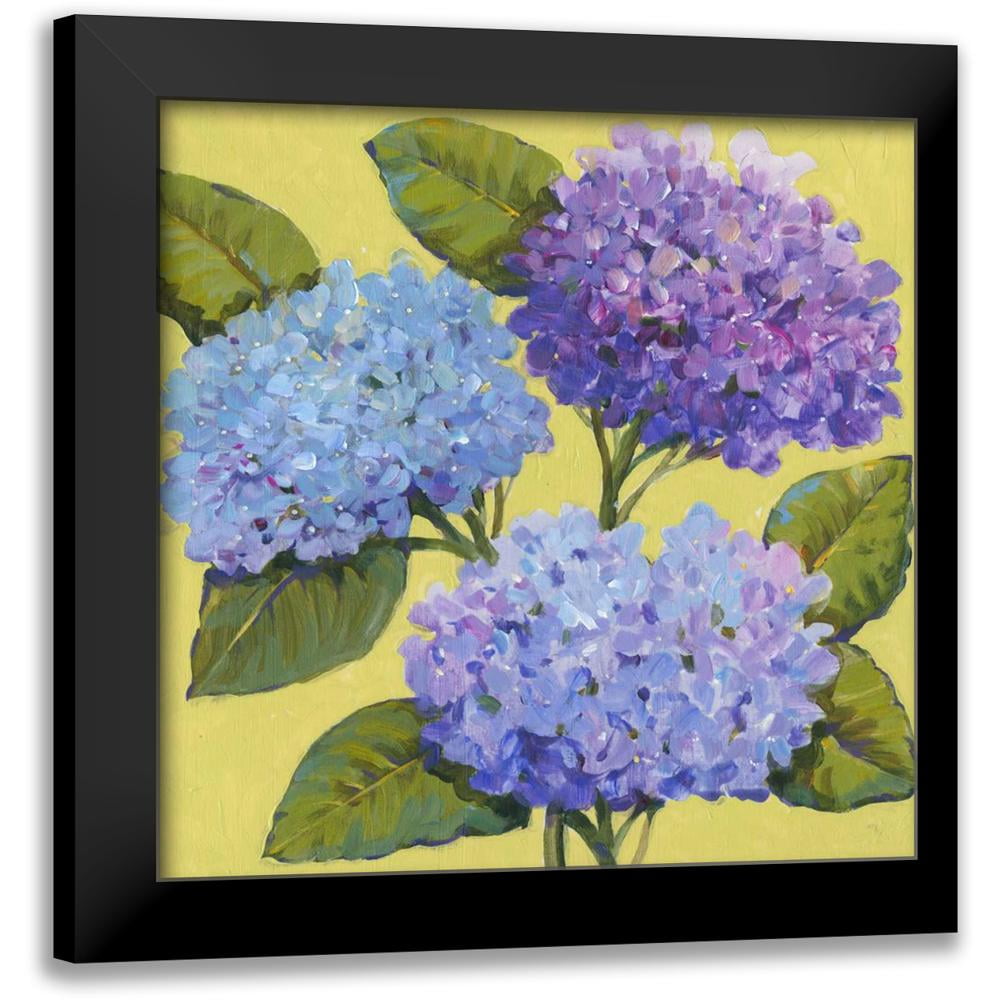 OToole, Tim 20x20 Black Modern Framed Museum Art Print Titled - Spring ...
